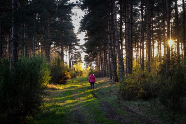 Easter Ross Peninsula - Highland Tourism
